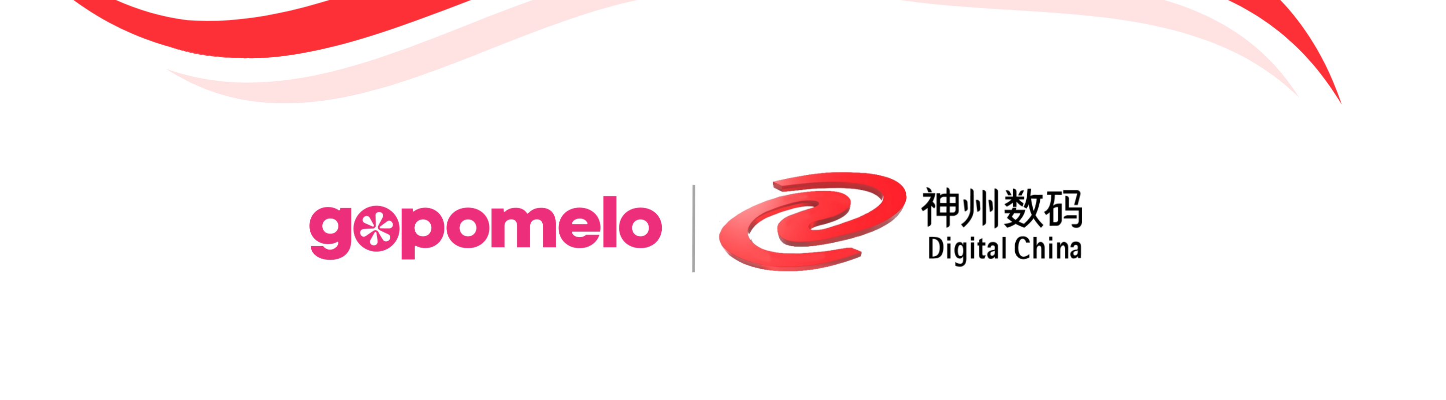 Announcing our Partnership with Digital China Group | GoPomelo Press ...