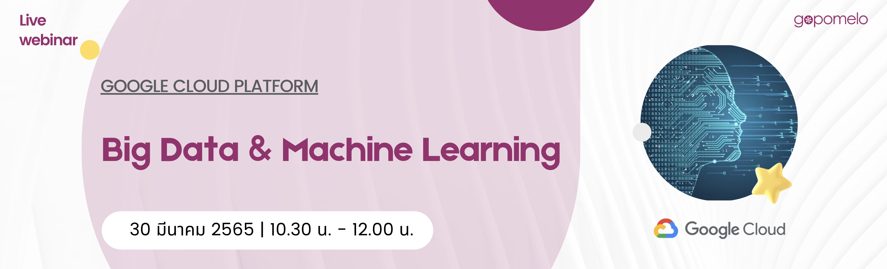 APAC’s Premier Google Cloud Partner - GoPomelo